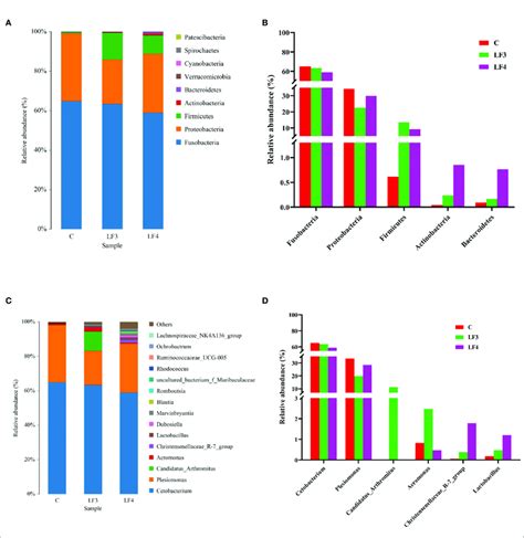 Relative Abundances Of Intestinal Microbiota At Phyla A And Genus