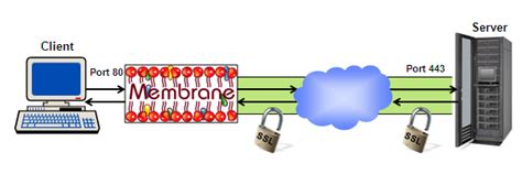 Ssltls Termination And Tunneling For Web Services