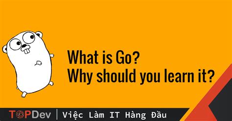 Tìm hiểu ngôn ngữ golang là gì và ứng dụng của nó trong lập trình
