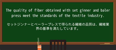 【英単語】ginnerを徹底解説！意味、使い方、例文、読み方 おもしろい英文法