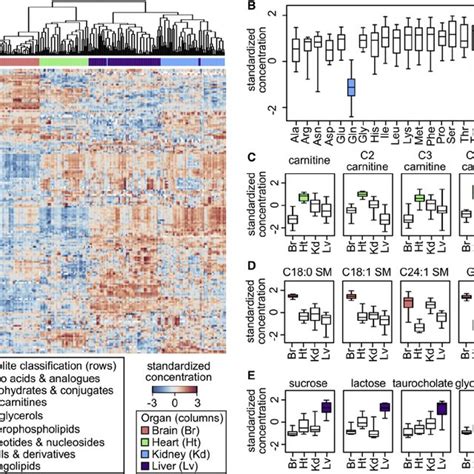 Pdf Organization Of The Mammalian Metabolome According To Organ Function Lineage