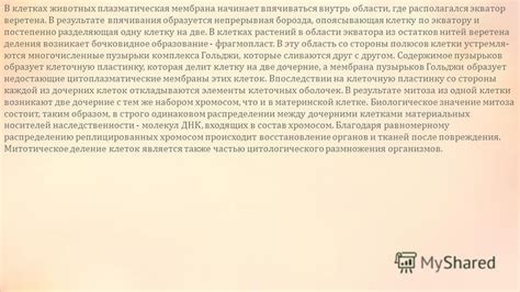 Презентация на тему: "Деления клеткиДеления клетки метафос. Деление ...