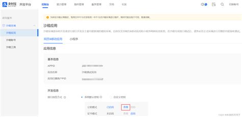 【springboot深入浅出系列】springboot之实现支付宝扫码支付（沙箱环境编码实现） springboot支付宝扫码支付 csdn博客