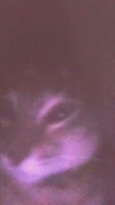 แมวบวม Youtube