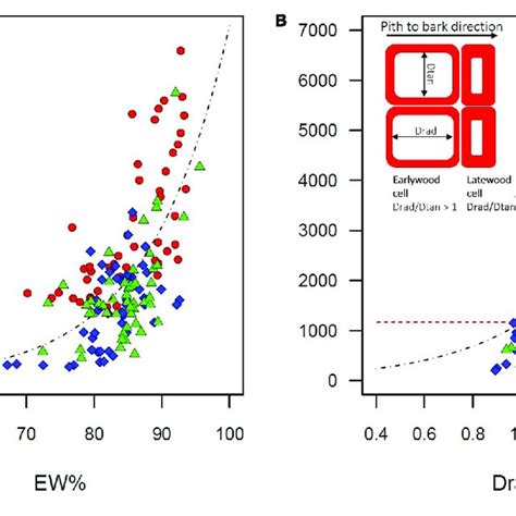A Tree Ring Width TRW Of The Five Outermost Tree Rings As A Download Scientific Diagram