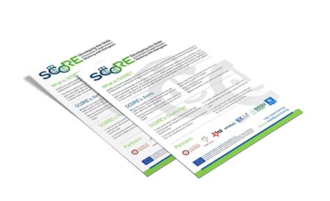 Scoreflyeren P Consultinggr