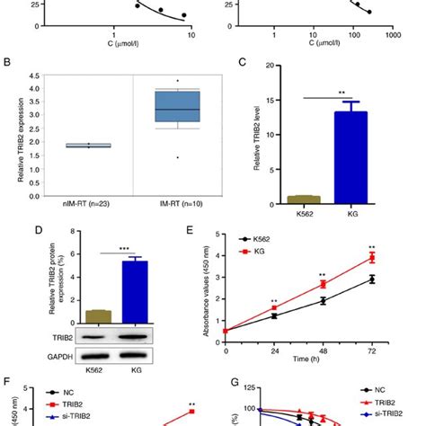 Timeline Of Rt Pcr Values For Bcr Abl1 Transcripts Quantification Of Download Scientific
