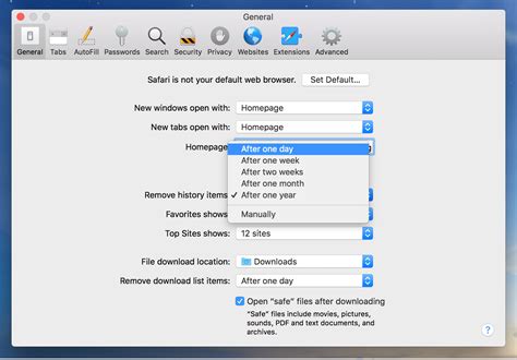 how to delete your browser history on a mac lani
