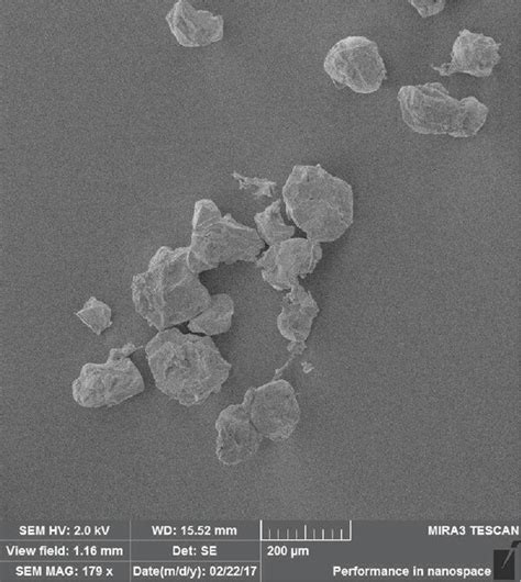 Morphology And Microstructure Of Lyophilised Microparticles