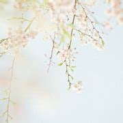 Linux下Python多版本环境安装 极简博客