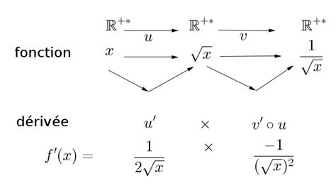 Dérivée Dune Fonction Composée Digischool