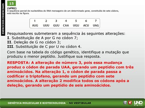 O Que Você Deve Saber Sobre Ppt Carregar