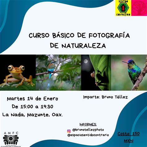 Espacio 🌟 Conecta Con La Naturaleza A Través De Tu Lente 🌟 El Espacio