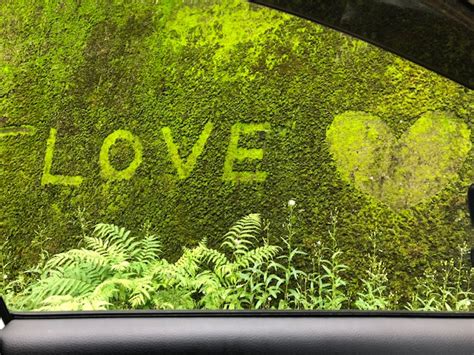 Izu Peninsula Lesser Known Destination You Must See In Japan Part 10 ｜ 世界一有名な半島