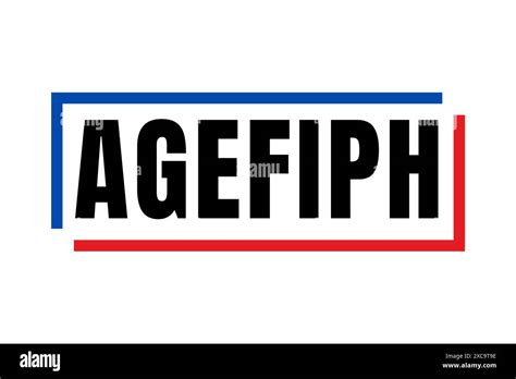 Agefiph Association For The Management Of The Fund For The Professional