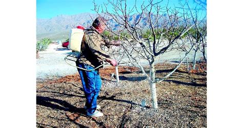 Избирайте подходящият момент за пръскане Български Фермер