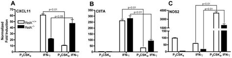 Bmdm From Tnf− − Rela And Tnf− − Rela− − Mice Were Treated With 10 Download Scientific
