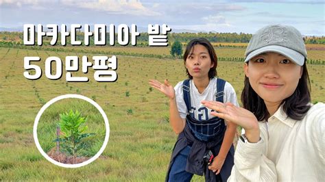 맞아요 땅콩회항 그거 마카다미아 농장 산책 Youtube