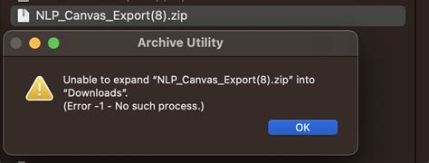 Unable To Unzip Systemt Extractors After Exporting From Nlp Editor · Issue 136 · Codaitnlp