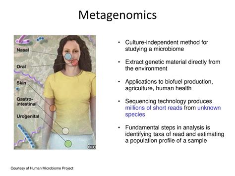 Taxonomic Identification And Phylogenetic Profiling Ppt Download