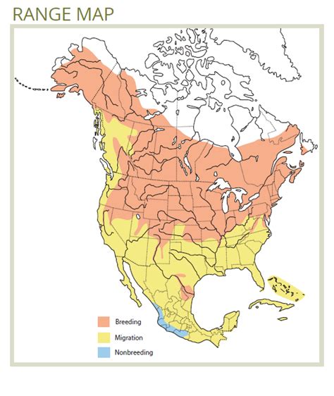 Bank Swallow Forestry Fact Sheet Fri Research