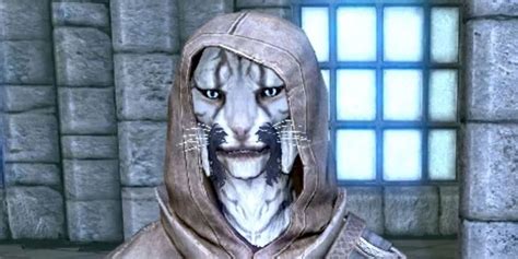 Best Skyrim Followers Ranked