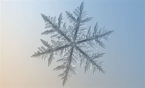 Faculty Of Science Symmetry Of Snowflakes