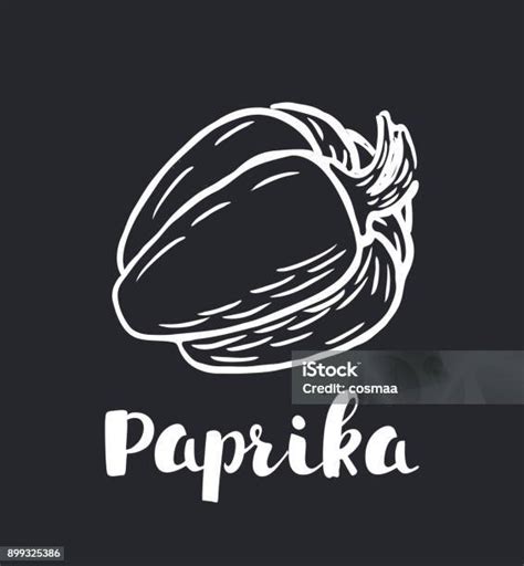 손으로 그린된 고추 야채 칠판 배경 사각형 프레임에 스케치 형식으로 분필 빈티지 식품 벡터 일러스트입니다 낙서 드로잉에 대한 스톡 벡터 아트 및 기타 이미지 Istock