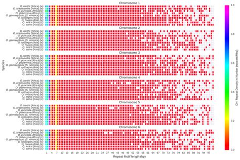 distribution of perfect repeats with different motif lengths 1 100
