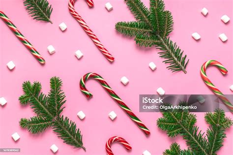 전통적인 크리스마스 사탕 지팡이 막대 사탕 녹색 전나무 가지 분홍색 배경에 마시멜로가 평면적으로 놓여 있습니다 창조적 인 새해 개념입니다 축제 장식 크리스마스 카드 단맛