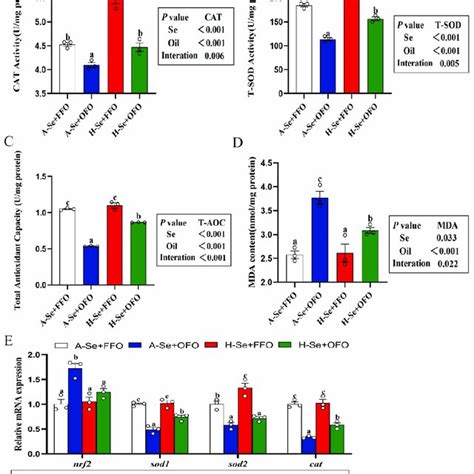 High Levels Of Selenium Alleviated The Damage That Was Induced By High Levels Of Selenium Alleviated The Damage That Was Induced By