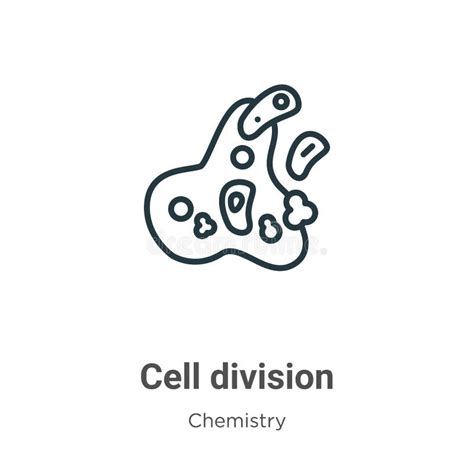 Cell Division Outline Vector Icon Thin Line Black Cell Division Icon Flat Vector Simple