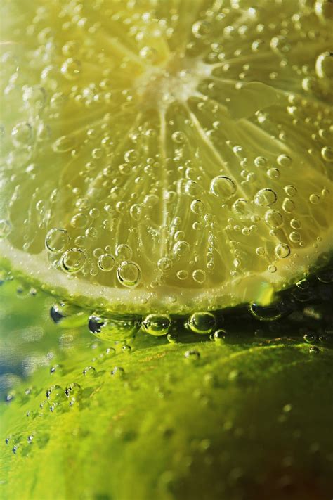 라임 과일 감귤류 Pixabay의 무료 사진