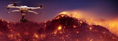 Forest Fire Prevention Forest Fire Fire Prevention Forest