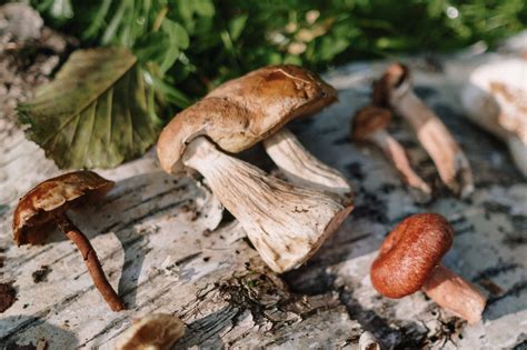 Finca Martelo Un Vino Inspirador Y Con Personalidad