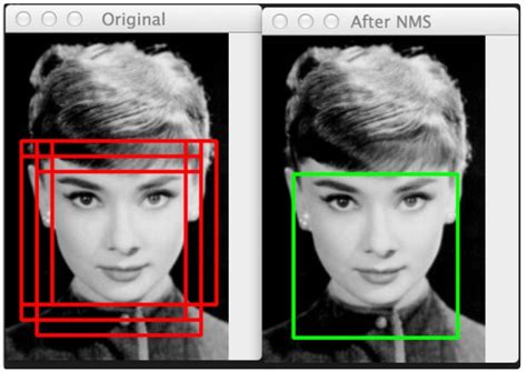 Joint Face Detection And A Lignment Using Multi Task Cascaded Convolutional Networks Tensormsa
