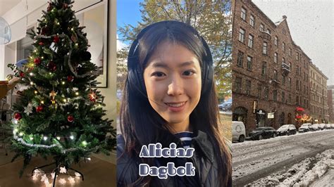 Eng Vlog 🎄 올해 하반기 일상의 조각들zip 고양이들과 보내는 일상🐯 눈 오는 스톡홀름 ☃️ 스톡홀름 영화제 🎥 Youtube