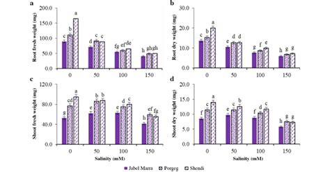 Effects Of The Interaction Between Salinity And Variety On Root Fresh