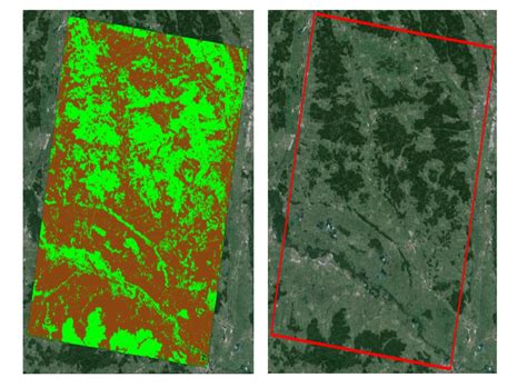 Left Forestnon Forest Classification Map Depicted In Green And
