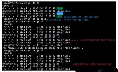 彻底搞懂 Linux 中的权限【详解】 知乎