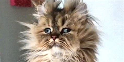 When Im Back To The Office After I Spent The Whole Night Debugging