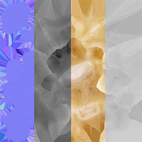 Kangaroo Red Necked Wallaby Cervical Vertebrae C5 3d Model Turbosquid