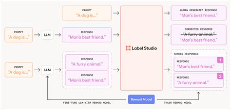 Fine Tune Foundation Models Humansignal