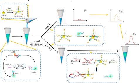 Figure 1 From Gold Nanoparticle Based Enzyme Assisted Cyclic Amplification For The Highly