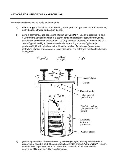 Anaerobe Jar Information Methods For Use Of The Anaerobe Jar Anaerobic Conditions Can Be