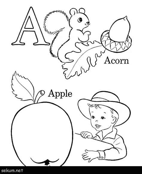 Алфавит Английский Разукрашки Для Детей 70 фото