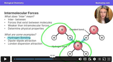 Kaplan Vs Dat Bootcamp 2025 Comparison