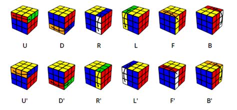 Assignment You Are Tasked With Building A