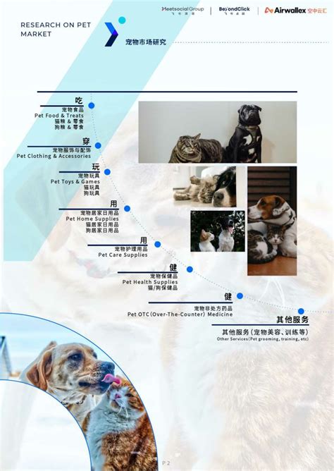 Meetsocial2022全球宠物市场白皮书附下载地址 幸福的耗子 幸福的耗子