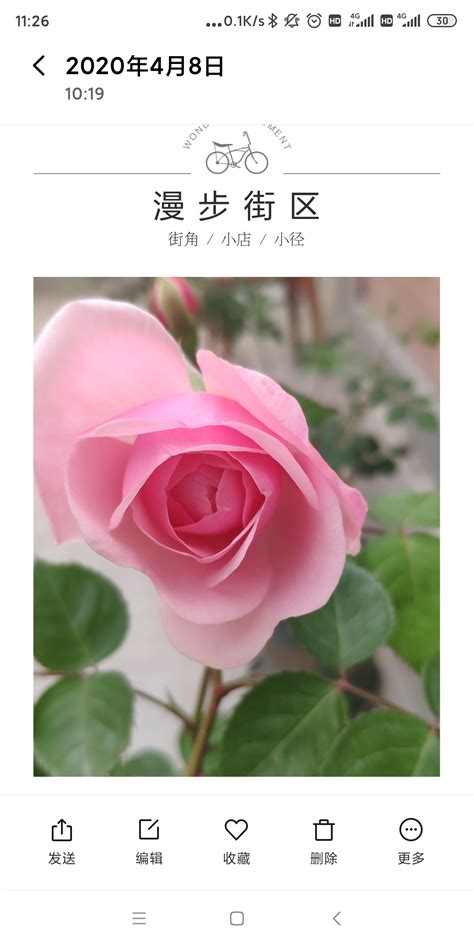 [bug]小米8不能选择剪拼保存的图片 · issue 255 · fluttercandies flutter photo manager · github